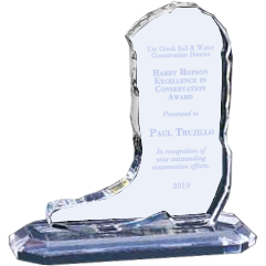 Acrylic Cowboy Boot Award | Engraved Western Fair Trophy | Paradise Awards