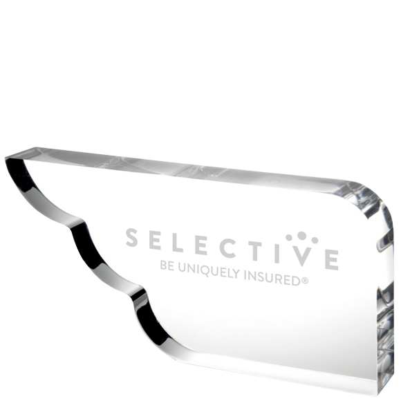 Flying Wing Acrylic Award | Engraved Wing Acrylic Trophy | Paradise Awards