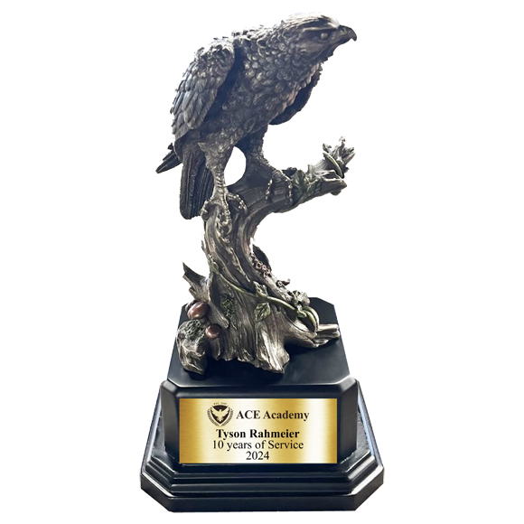 Peregrine Falcon Award | Personalized Falcon Statue | Paradise Awards