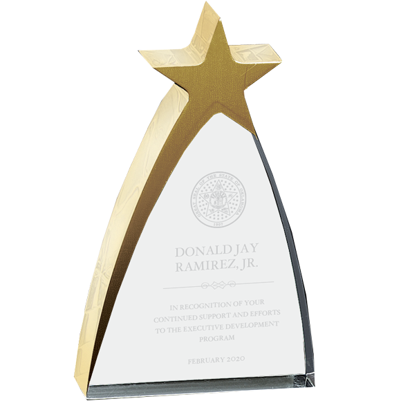 New Life Acrylic Star Award | Personalized Acrylic Awards | Paradise Awards