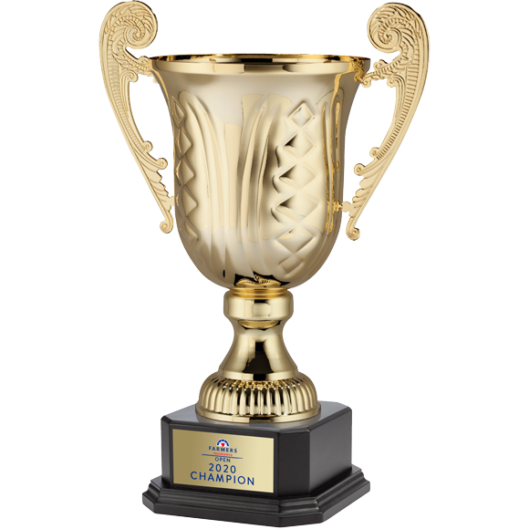 Golden Excellence Trophy Cup | Golden Trophy Cup Statue | Paradise Awards