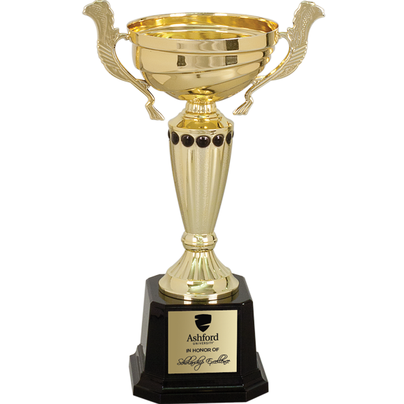 Black Pearl Gold Trophy Cup | Metal Trophy Cup Award | Paradise Awards