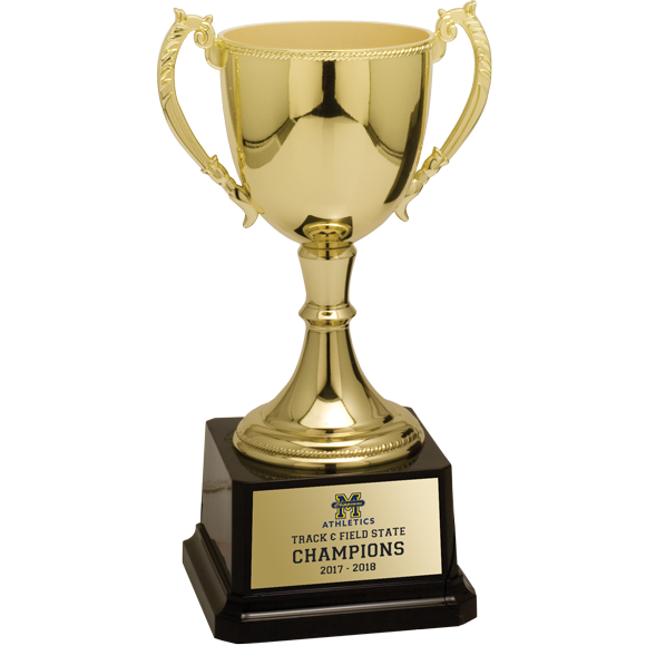Economy Gold Metal Cup Trophy | Metal Trophy Cup Award | Paradise Awards