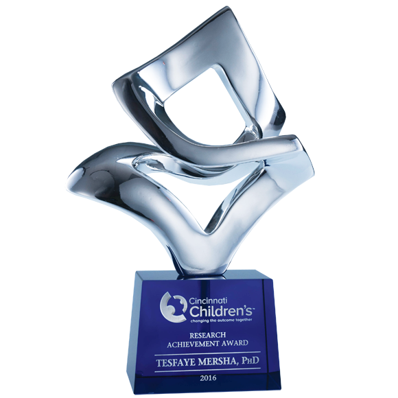 Blue Crystal Performer Metal Award | Etched Metal Artglass Trophy ...