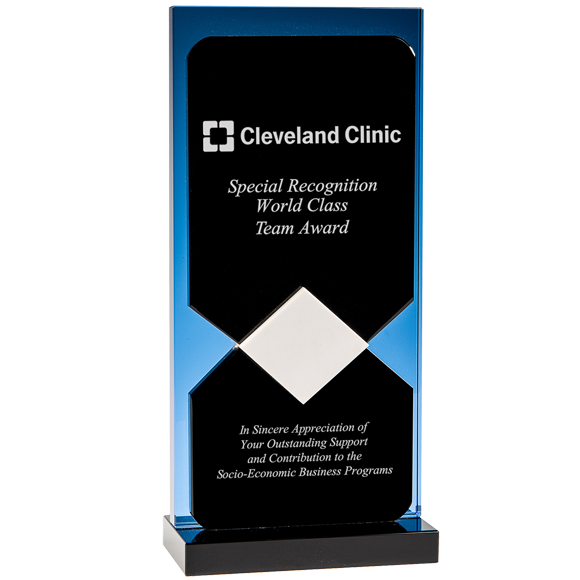 Platinum Blue Crystal Award | Etched Crystal Rectangle Trophy ...