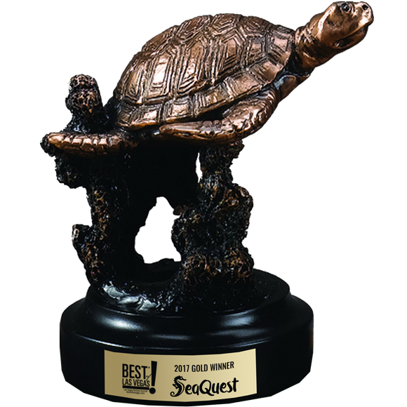 Bronze Mini Turtle Trophy | Marine Turtle Award Statue | Paradise Awards