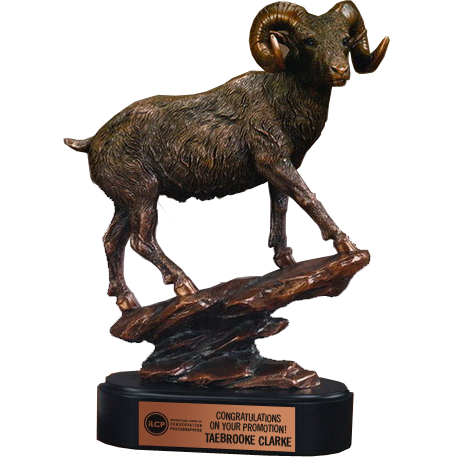 Bronze Ram Trophy | Bronze Ram Award Statue | Paradise Awards